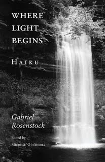Cinque haiku di Gabriel Rosenstock – Luca Cenisi